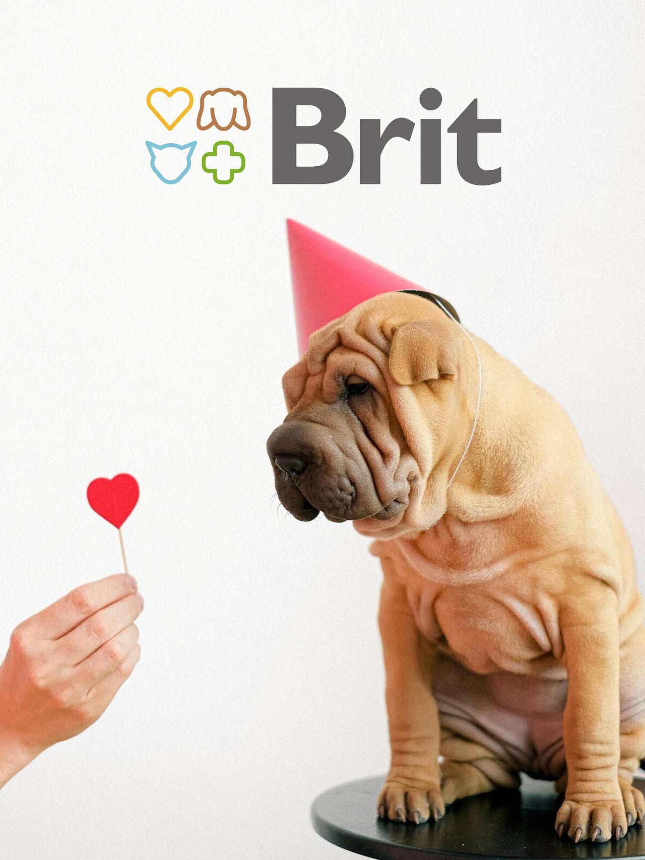 ZooLyx - Allt För Ditt Djur