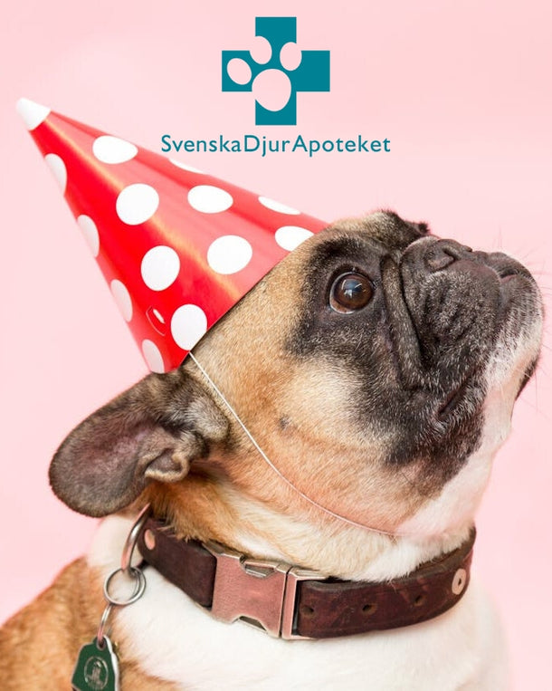 ZooLyx - Allt För Ditt Djur