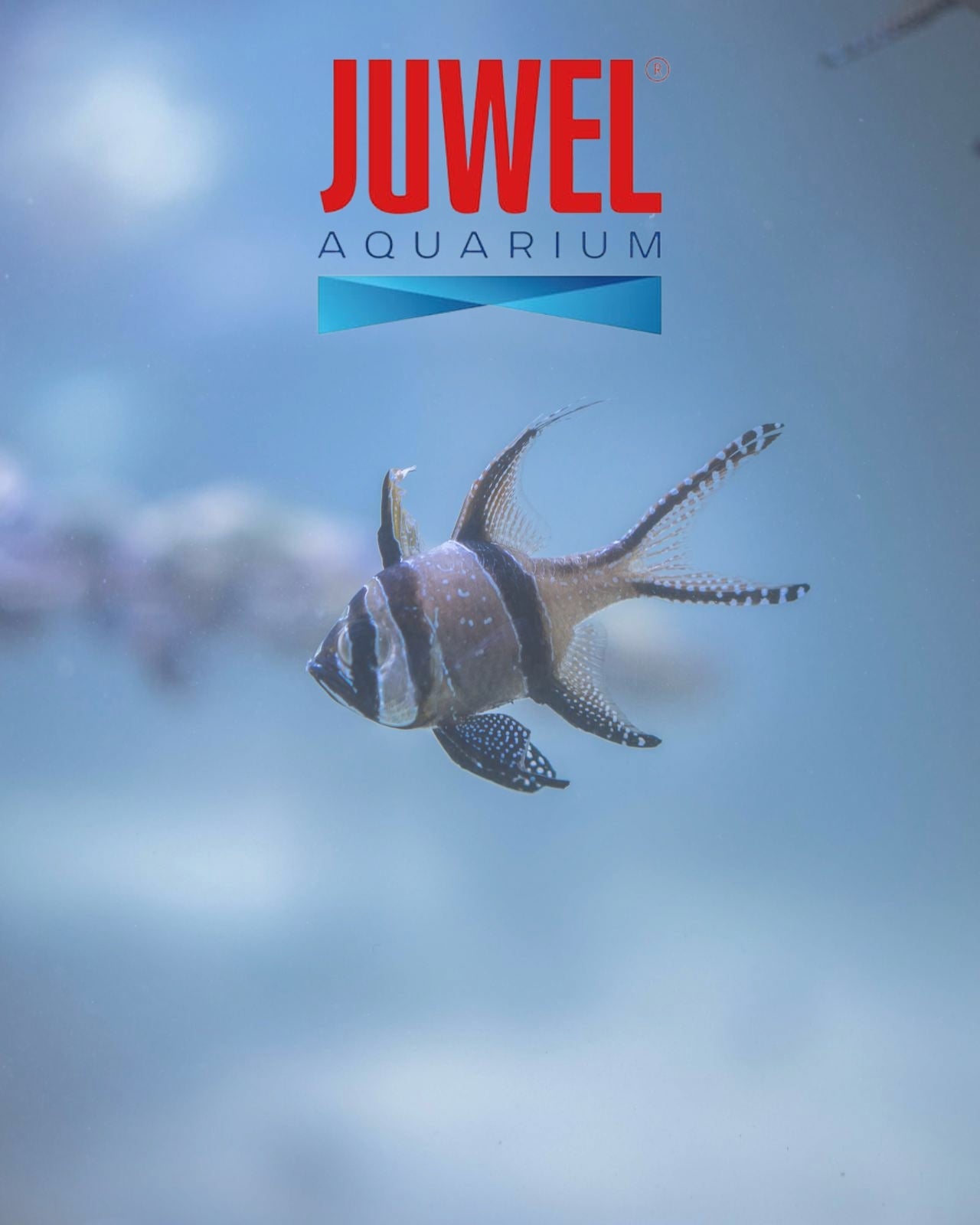 ZooLyx - Allt För Ditt Djur