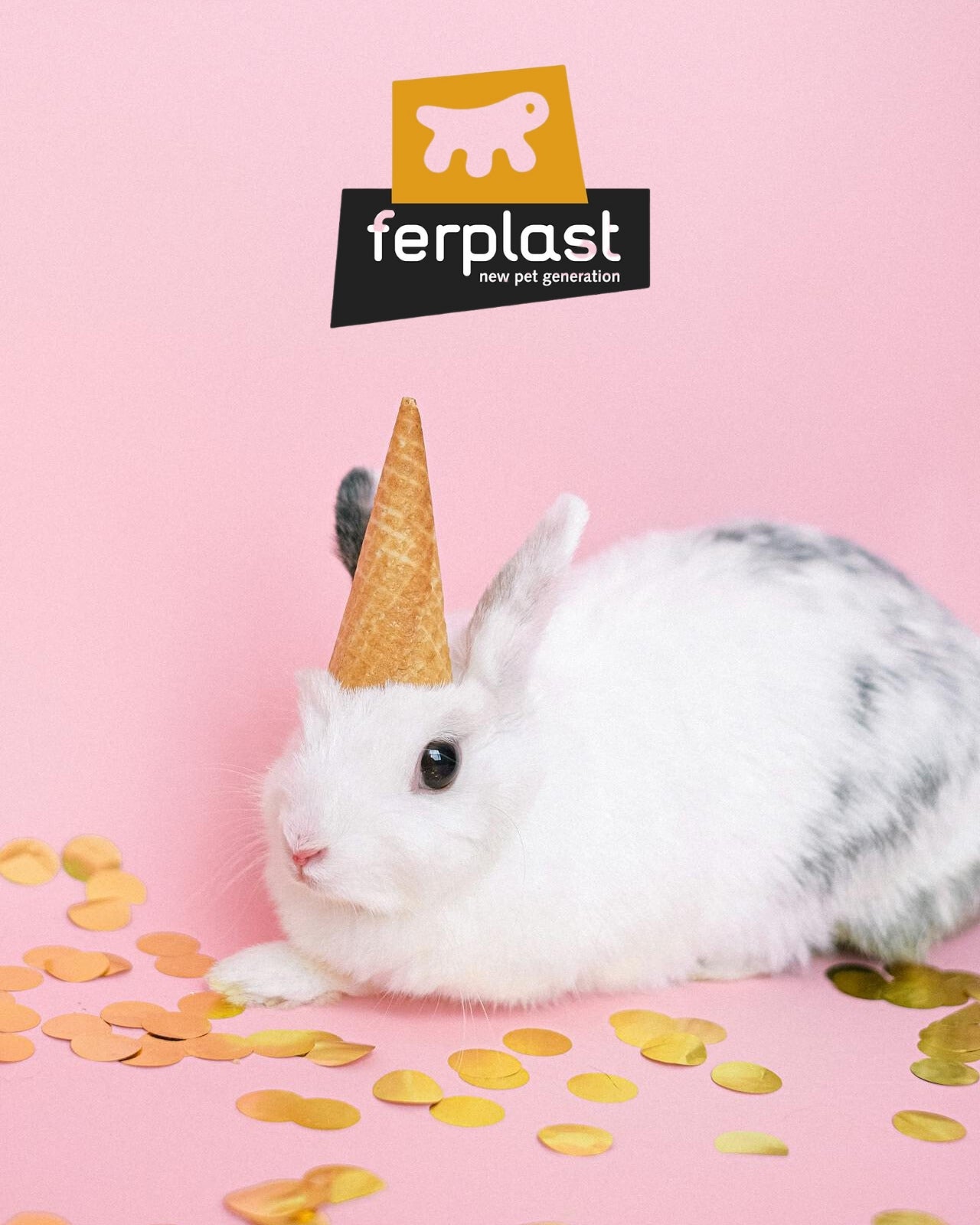 ZooLyx - Allt För Ditt Djur